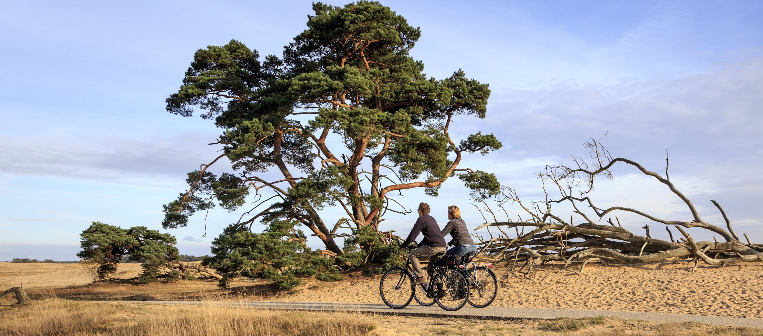 Roompot Bungalowpark Hoenderloo - Roompot